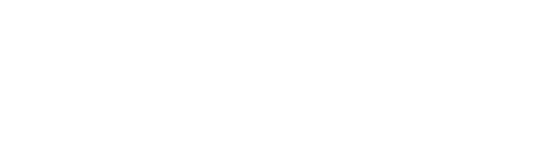 Apis Capital Advisors, LLC - Privately-Owned Investment Advisory Firm