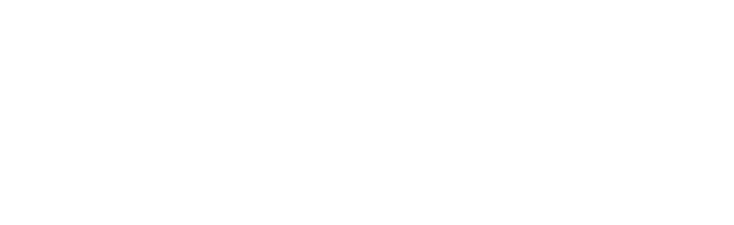 Apis Capital Advisors, LLC - Privately-Owned Investment Advisory Firm